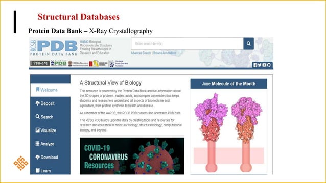 Bioinformatics Algorithms And Its Basics Ppt