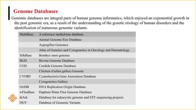 Bioinformatics Algorithms And Its Basics Pptx Databases Computer 6057