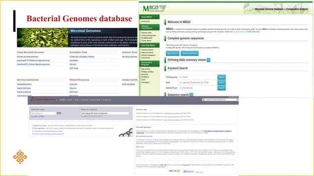 Bioinformatics Algorithms And Its Basics Ppt