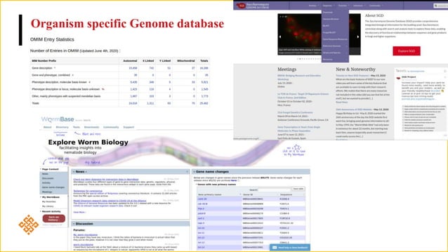 Bioinformatics Algorithms And Its Basics Pptx Databases Computer Software And Applications