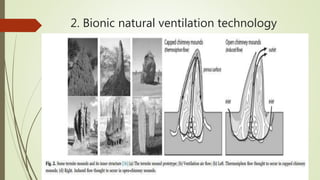 Bionic architecture | PPTX
