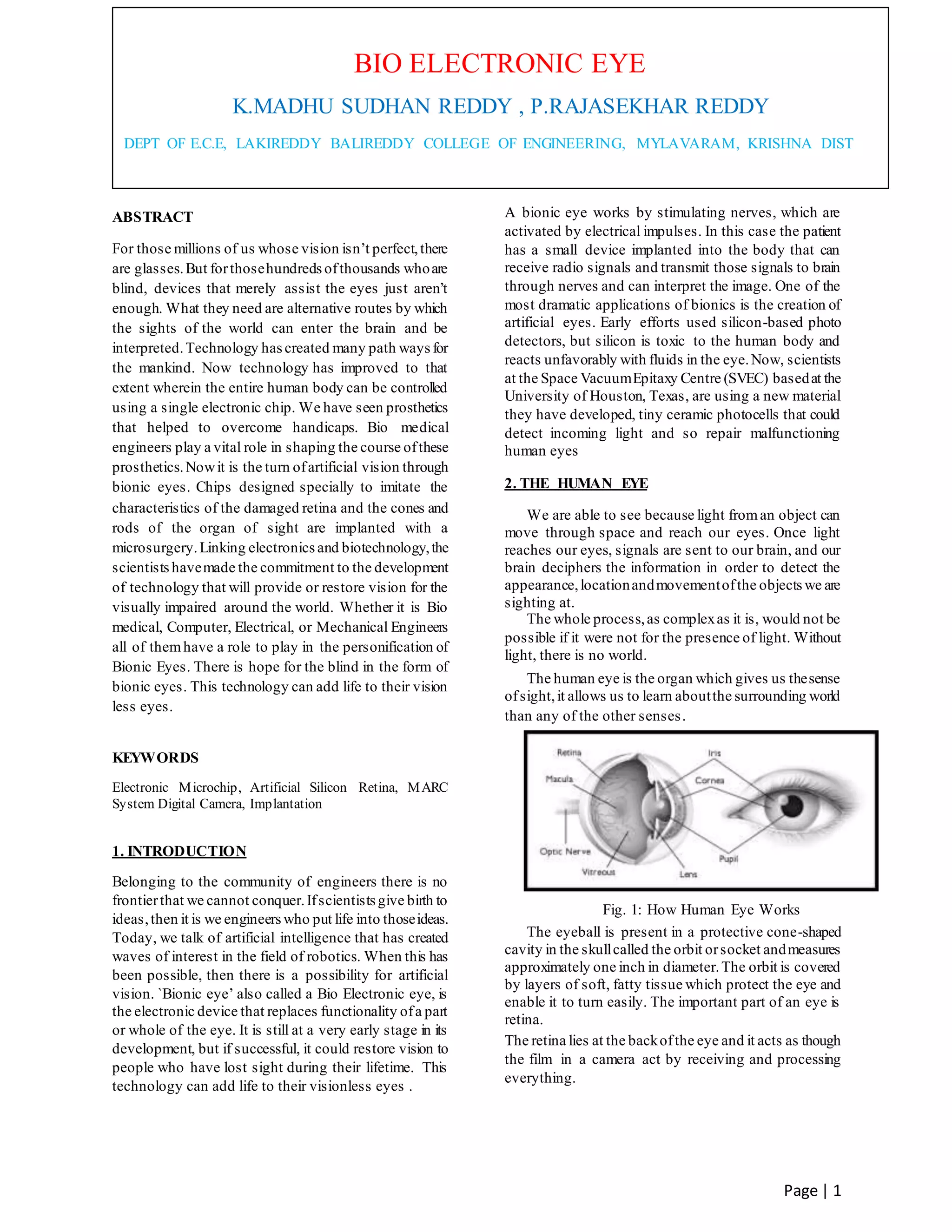 Bionic eye | PDF