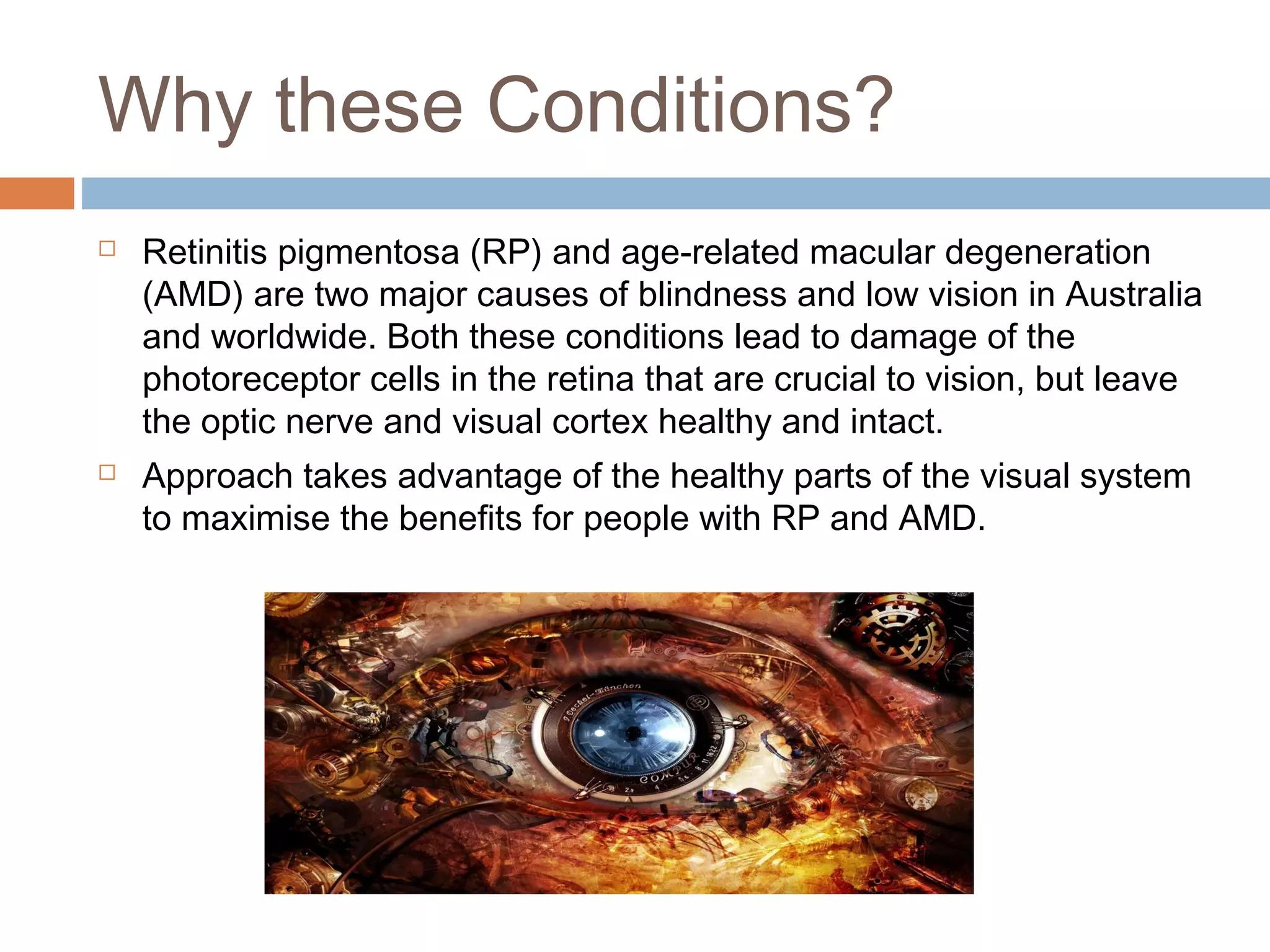 Bionic eye | PPT