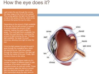Bionic eye | PPT