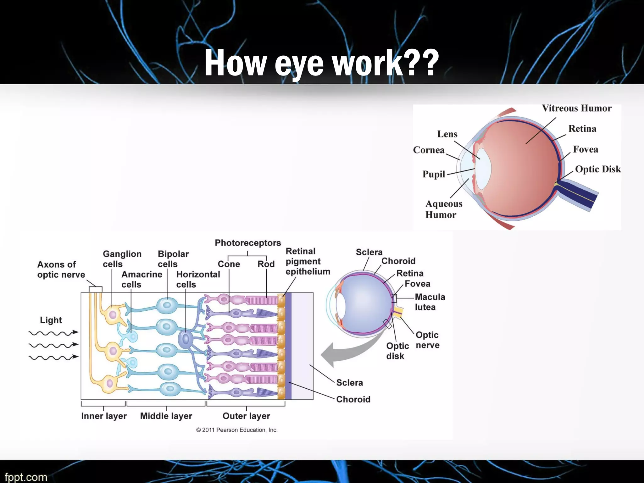 Bionic eye | PPT