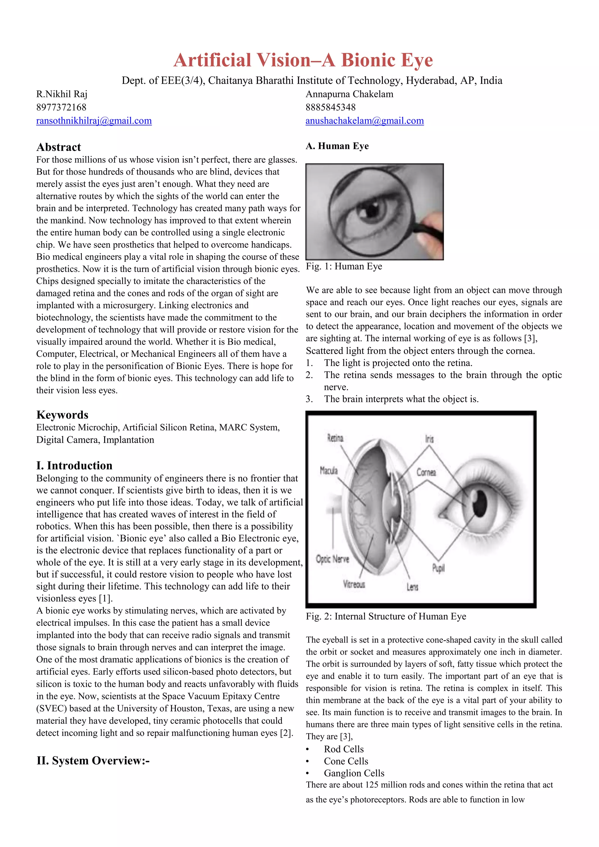 Bionic eye hard copy | PDF