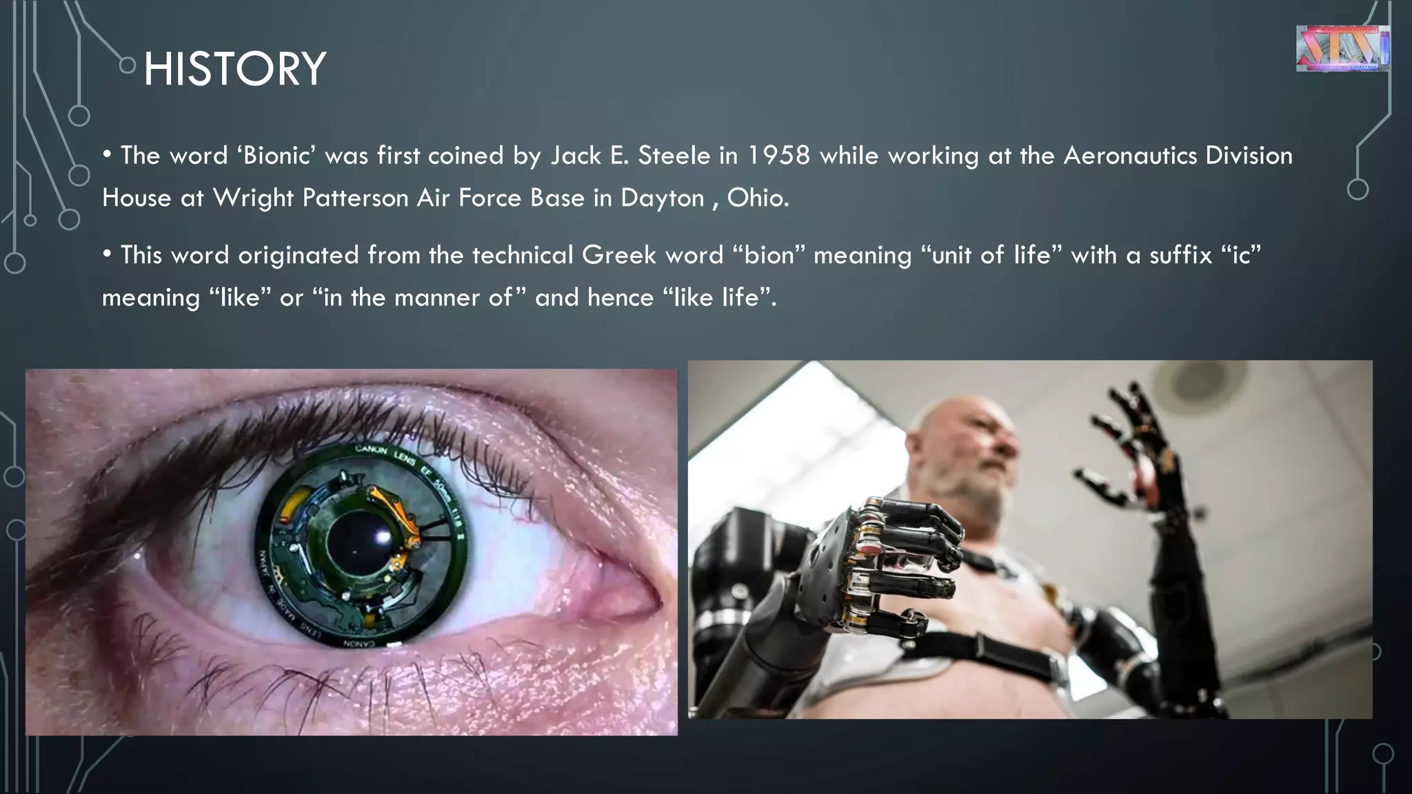 THE TOUCH OF BIONICS IN HUMANS | PDF