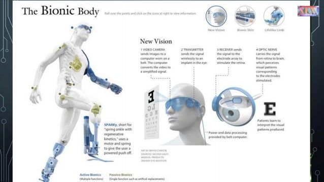 THE TOUCH OF BIONICS IN HUMANS | PPT