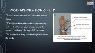 THE TOUCH OF BIONICS IN HUMANS | PDF