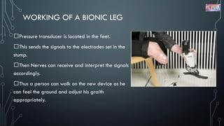 THE TOUCH OF BIONICS IN HUMANS | PDF