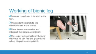 Bionics | PPT