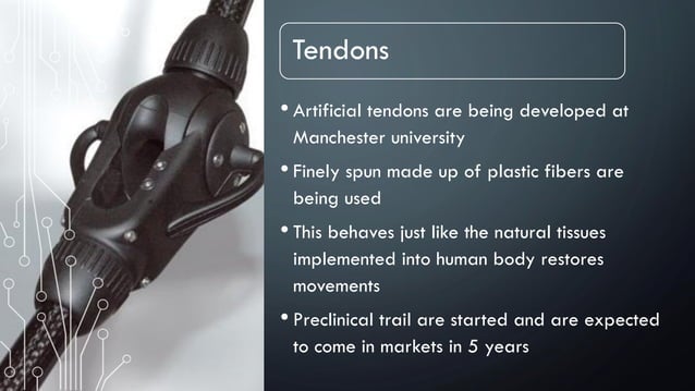 Bionics | PDF | Technology & Computing