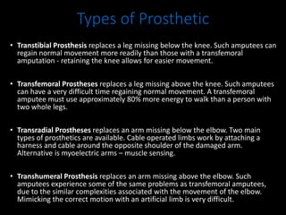 bionics_4.ppt