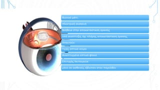 Bionic vision | PPT