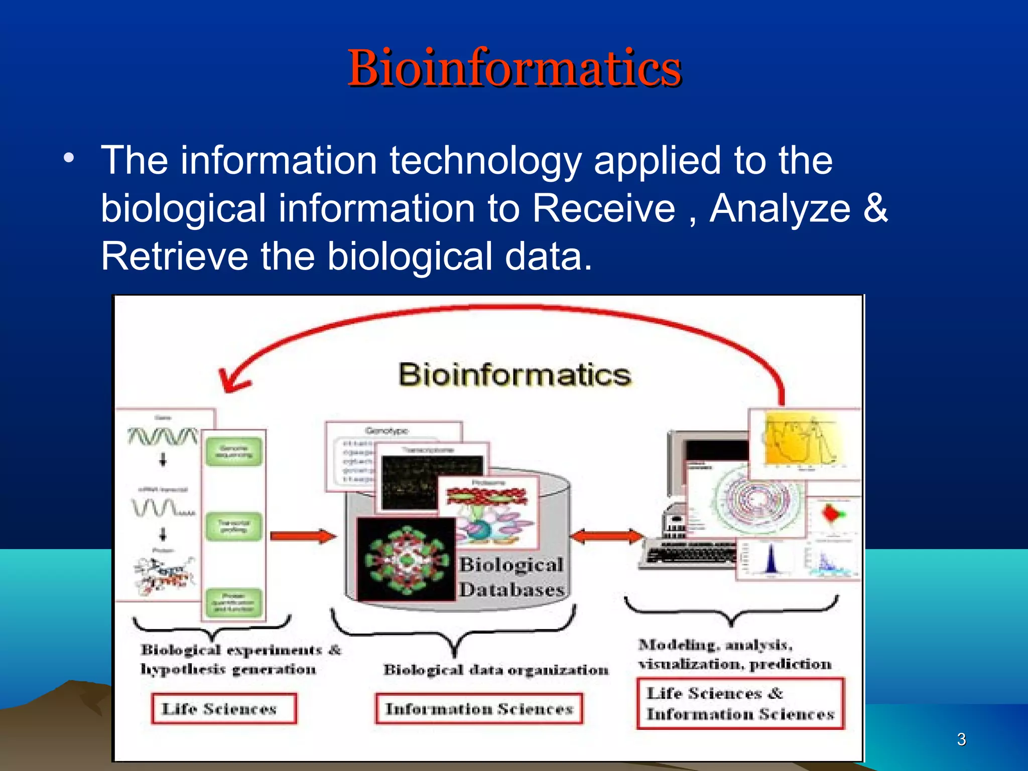 An Introduction to "Bioinformatics & Internet" | PPT