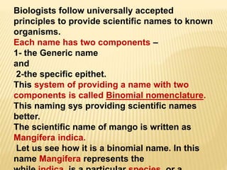 11th -Bionomial nomenclature ncert | PPT
