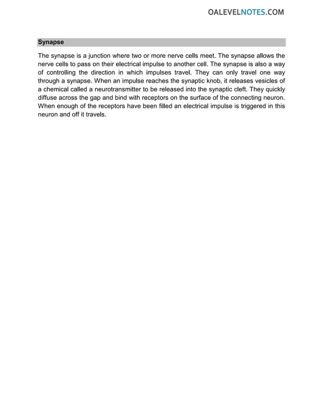 Bio_Notes(0)-3.pdf o and alevel notes on all topics | PDF