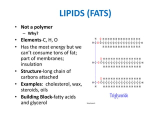 Bionutrients Theory Note on ppttxxx.pptx