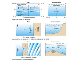 Bioocean1 :Introduction to Biological Oceanography | PPT