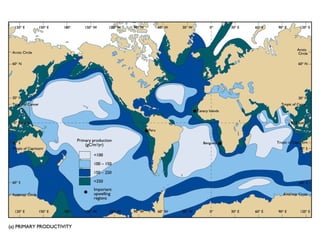Bioocean1 :Introduction to Biological Oceanography | PPT