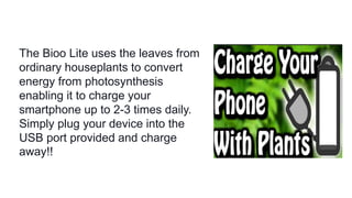 Bioo lite | PPT