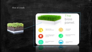 Bioo lite | PPTX