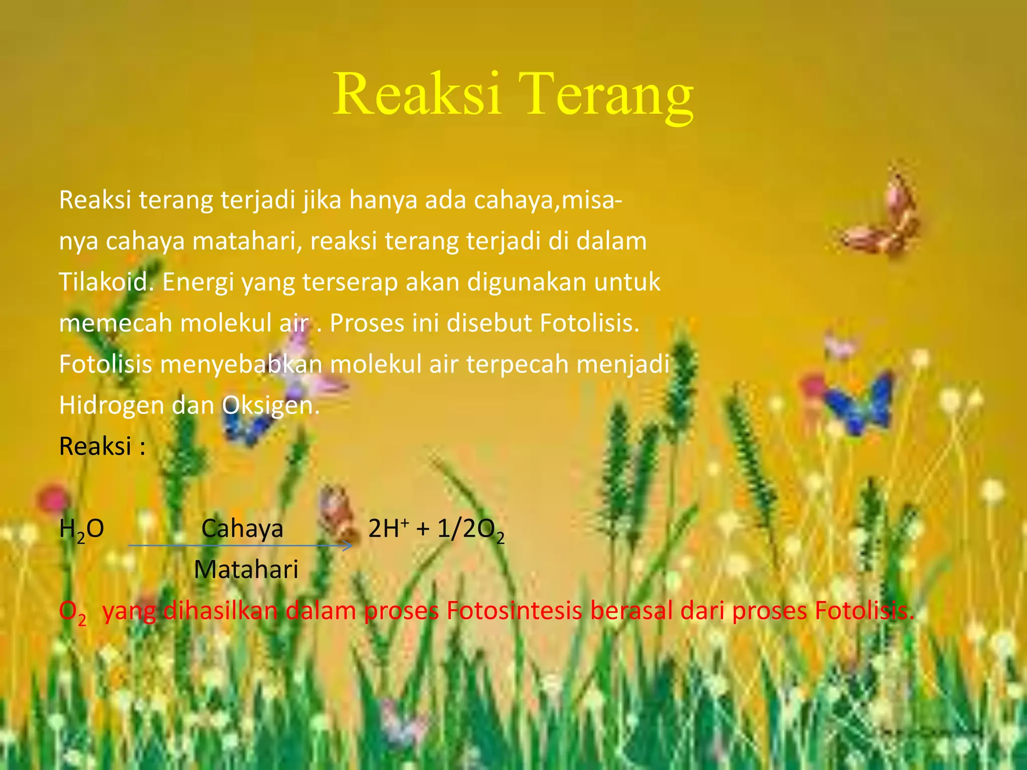 Reaksi Terang Fotosintesis | PPTX