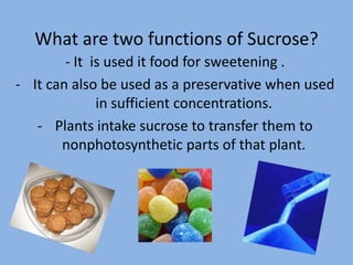 Biooo sucrossee | PPT