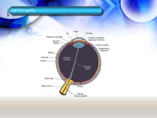 Biooptik | PPSX