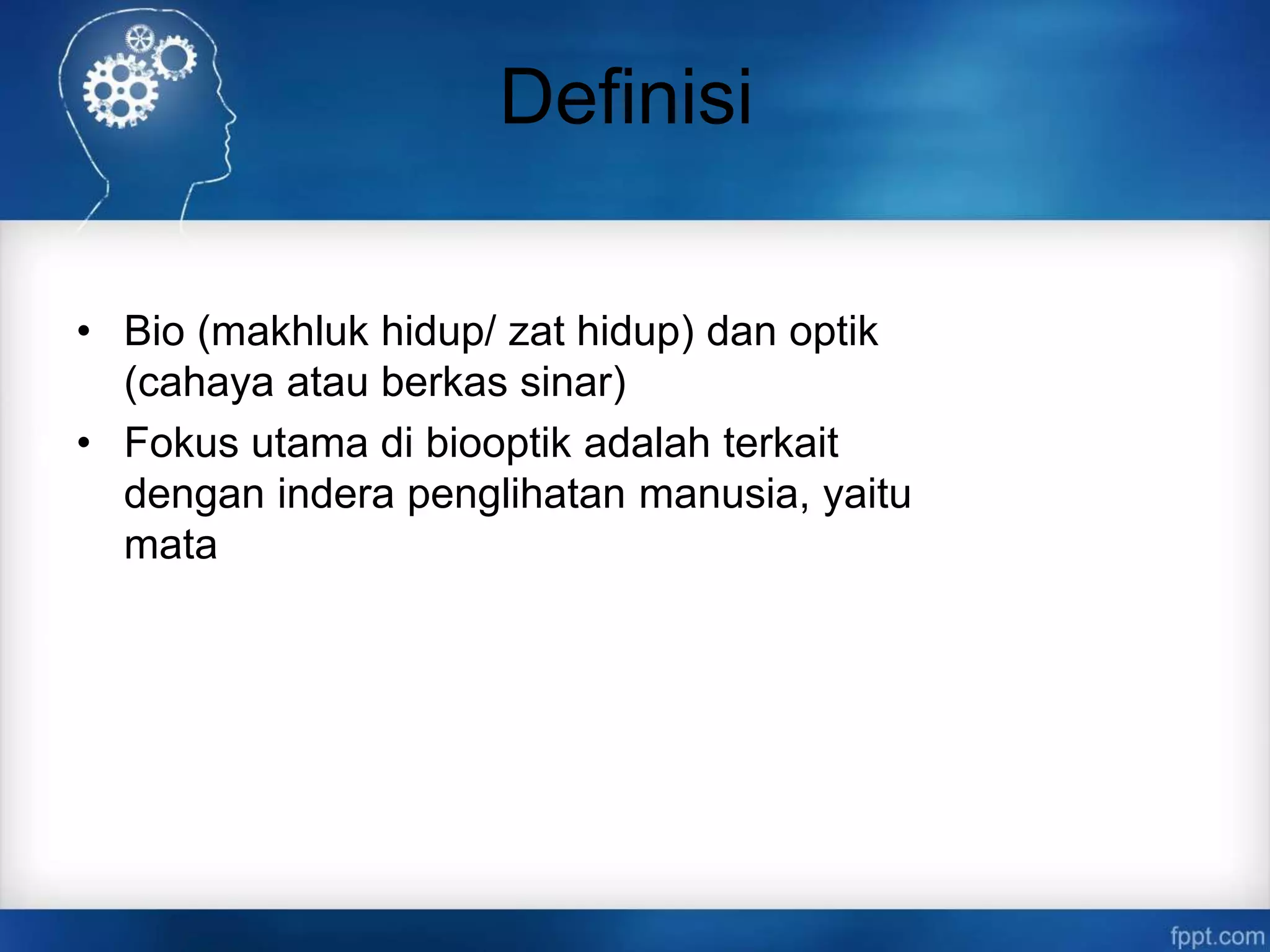 Biooptik.ppt