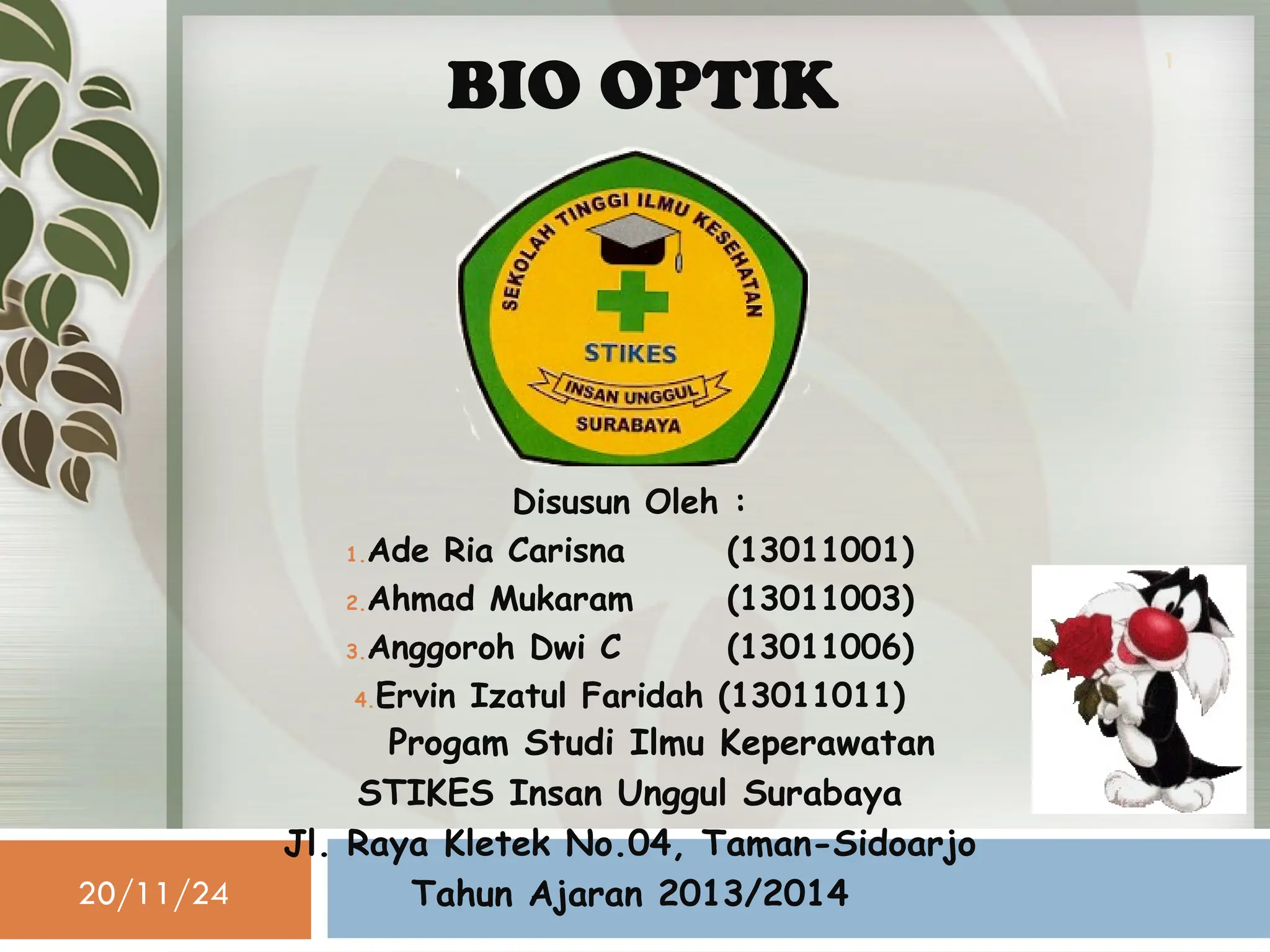 BIOOPTIK PPT yang siap.pptmm m mj m m m | PPT