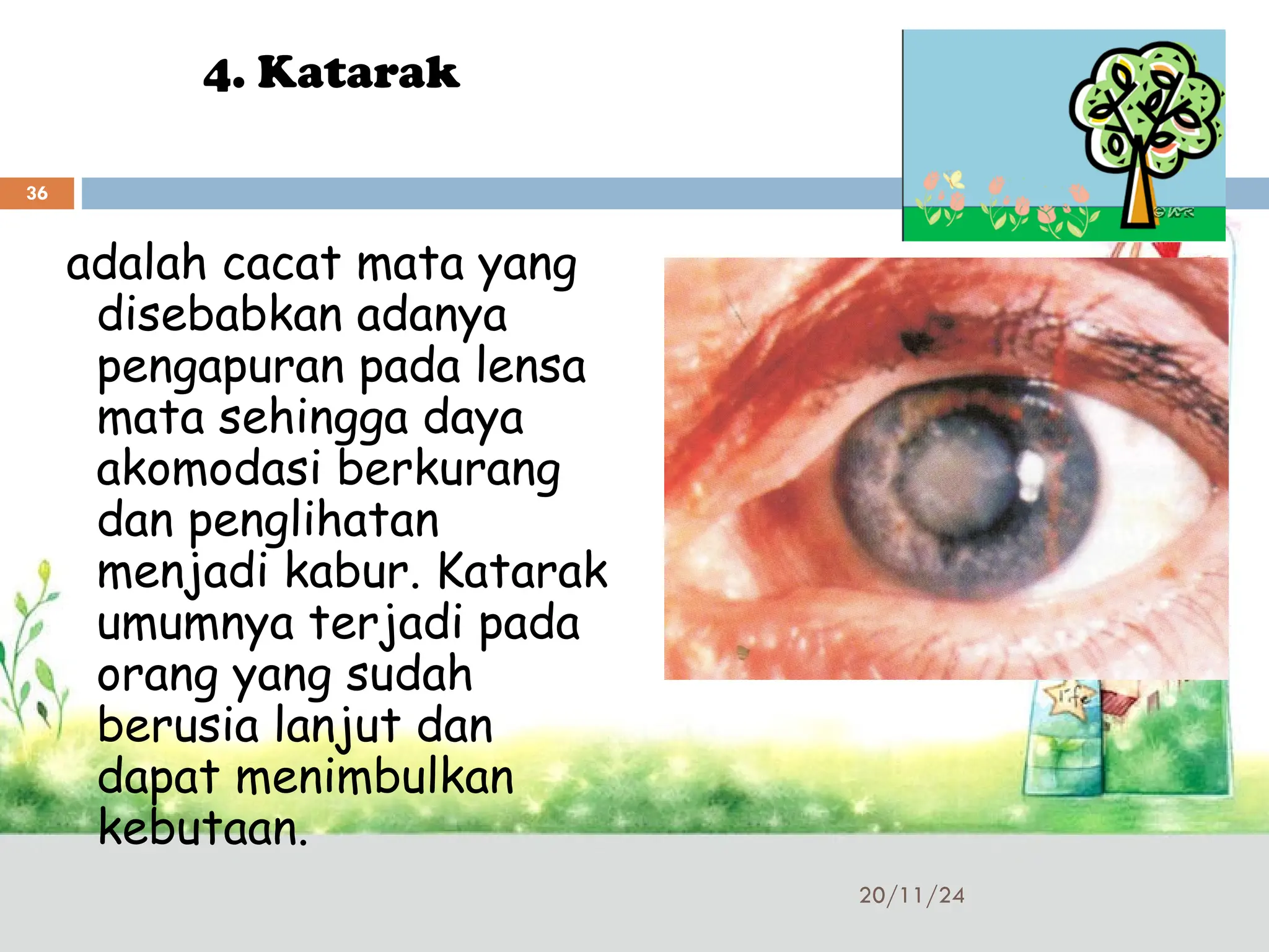 BIOOPTIK PPT yang siap.pptmm m mj m m m | PPT