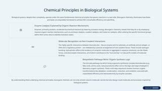 Bioorganic-Chemistry Presentation Slide | PPTX