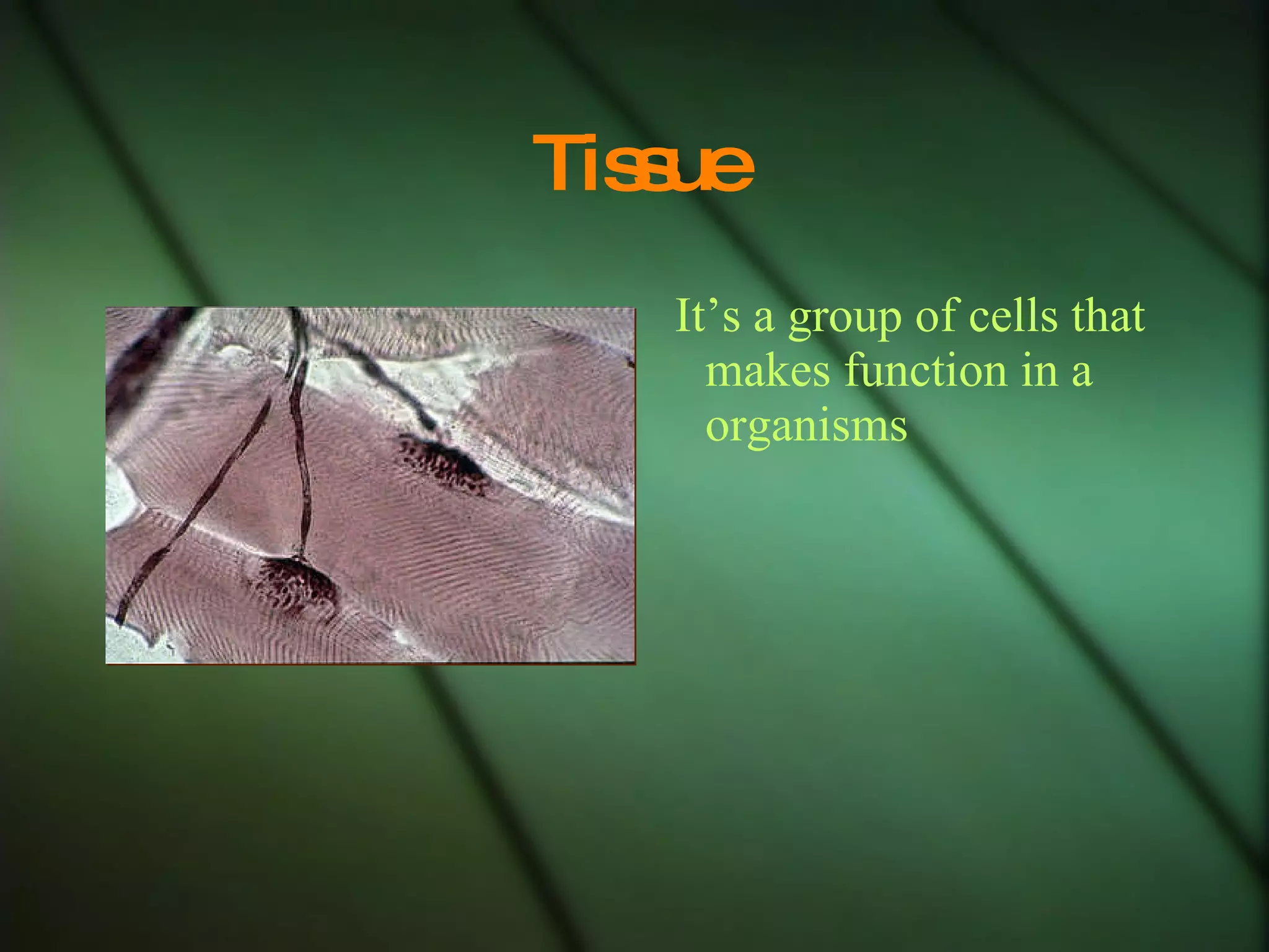 Bio Organism | PPT
