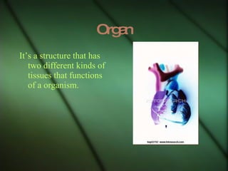 Bio Organism | PPT