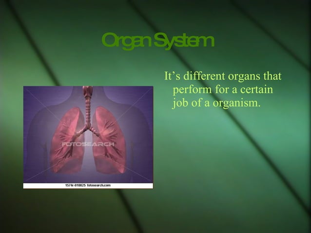 Bio Organism | PPT