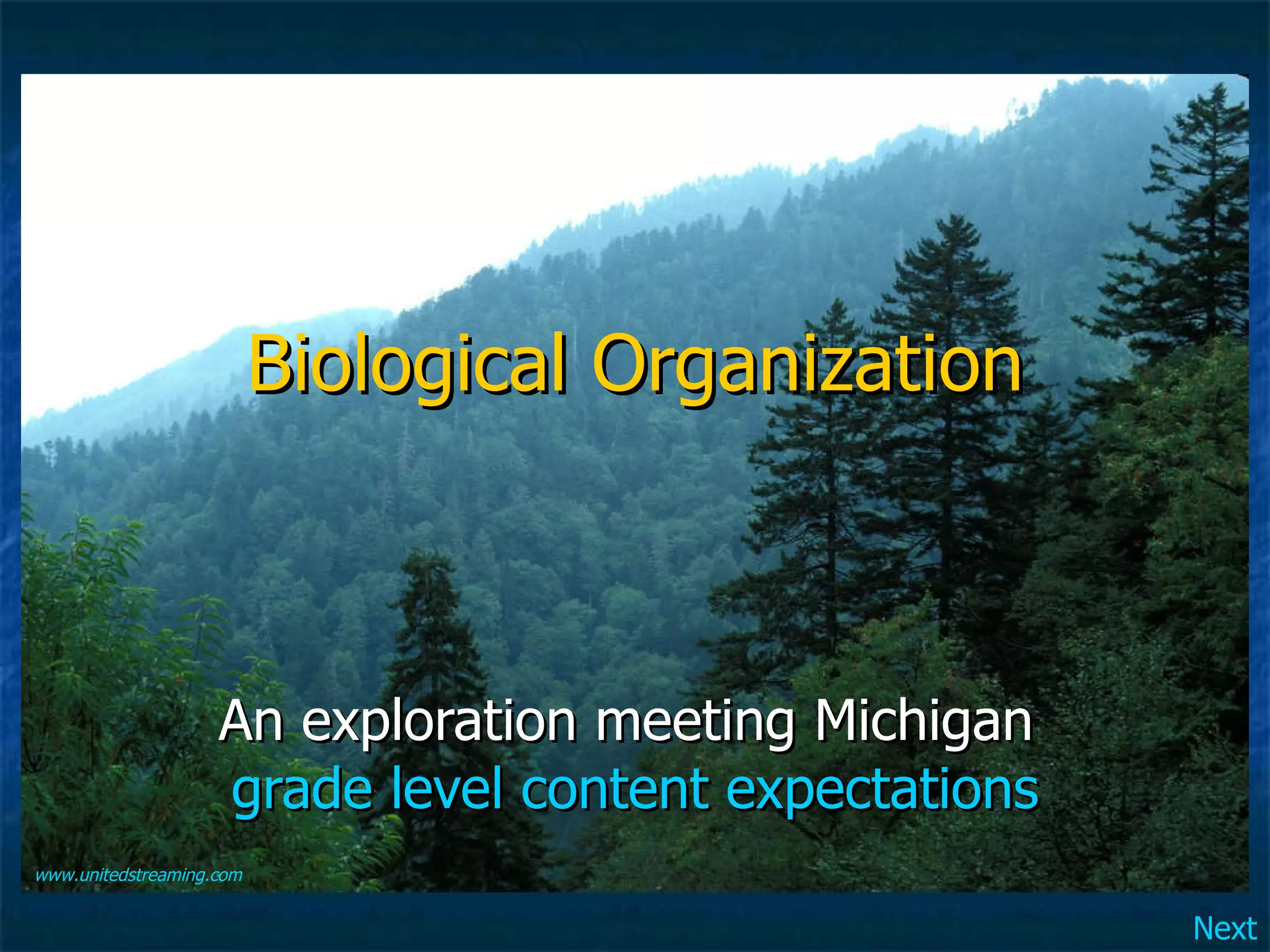 Bio Organization | PPT