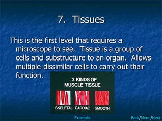 Bio Organization | PPT