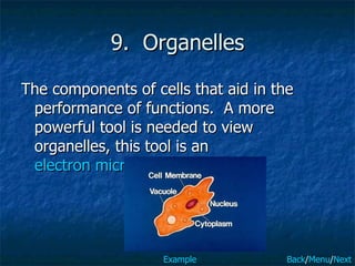 Bio Organization | PPT