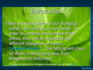 Bio Organization | PPT