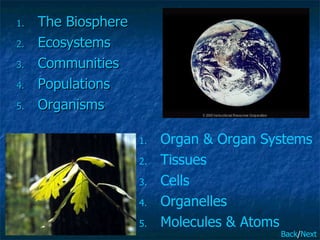 Bio Organization | PPT
