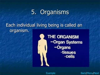 Bio Organization | PPT