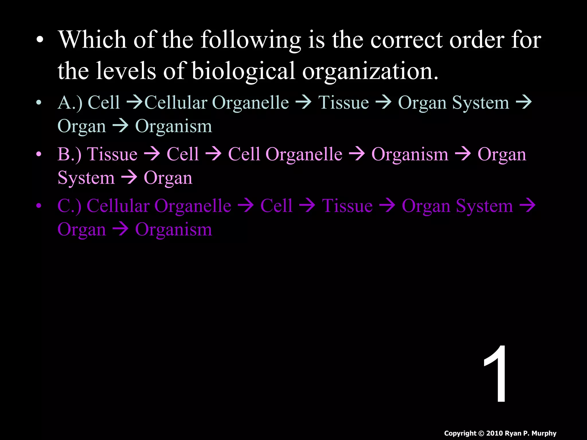 Skeletal System, Muscular System, and Biological Organization ...
