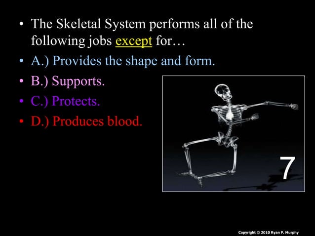 Skeletal System, Muscular System, and Biological Organization ...