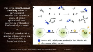 Bioorthogonal1 | PPTX