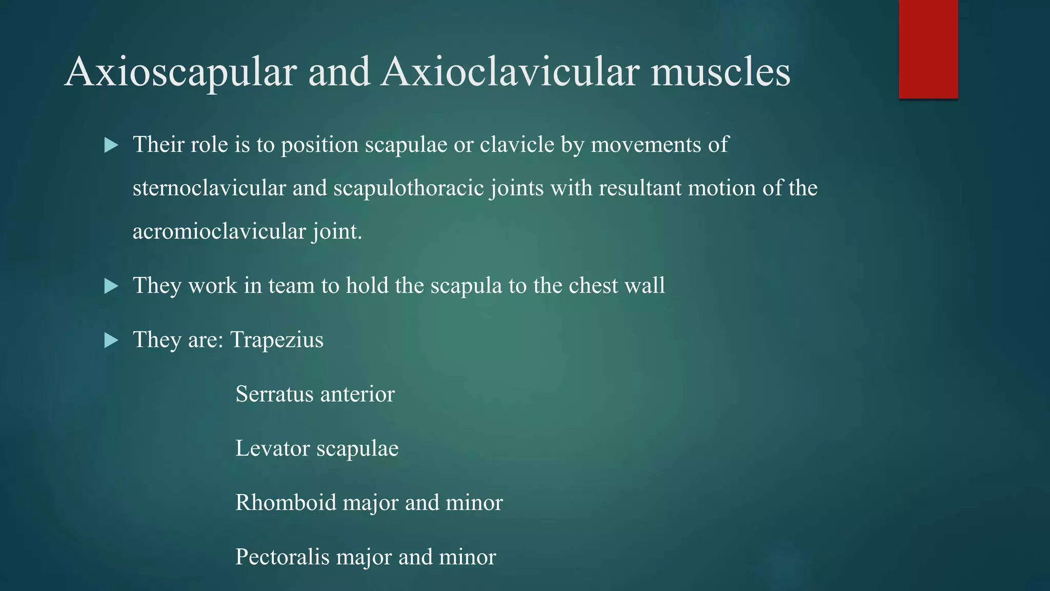 bio & pathomechanics of shoulder.pptx