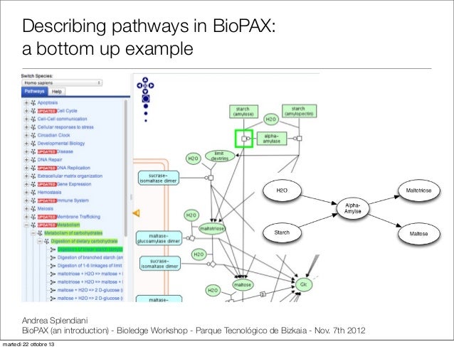 BioPAX (an introduction)