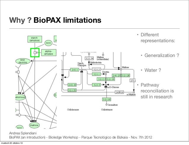 BioPAX (an introduction)