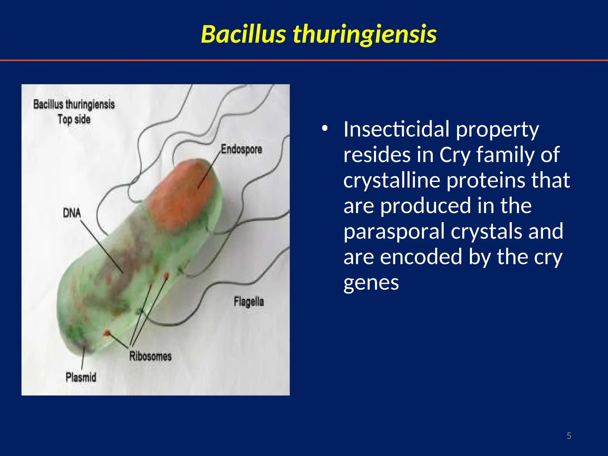 types of biopesticides classification.ppt