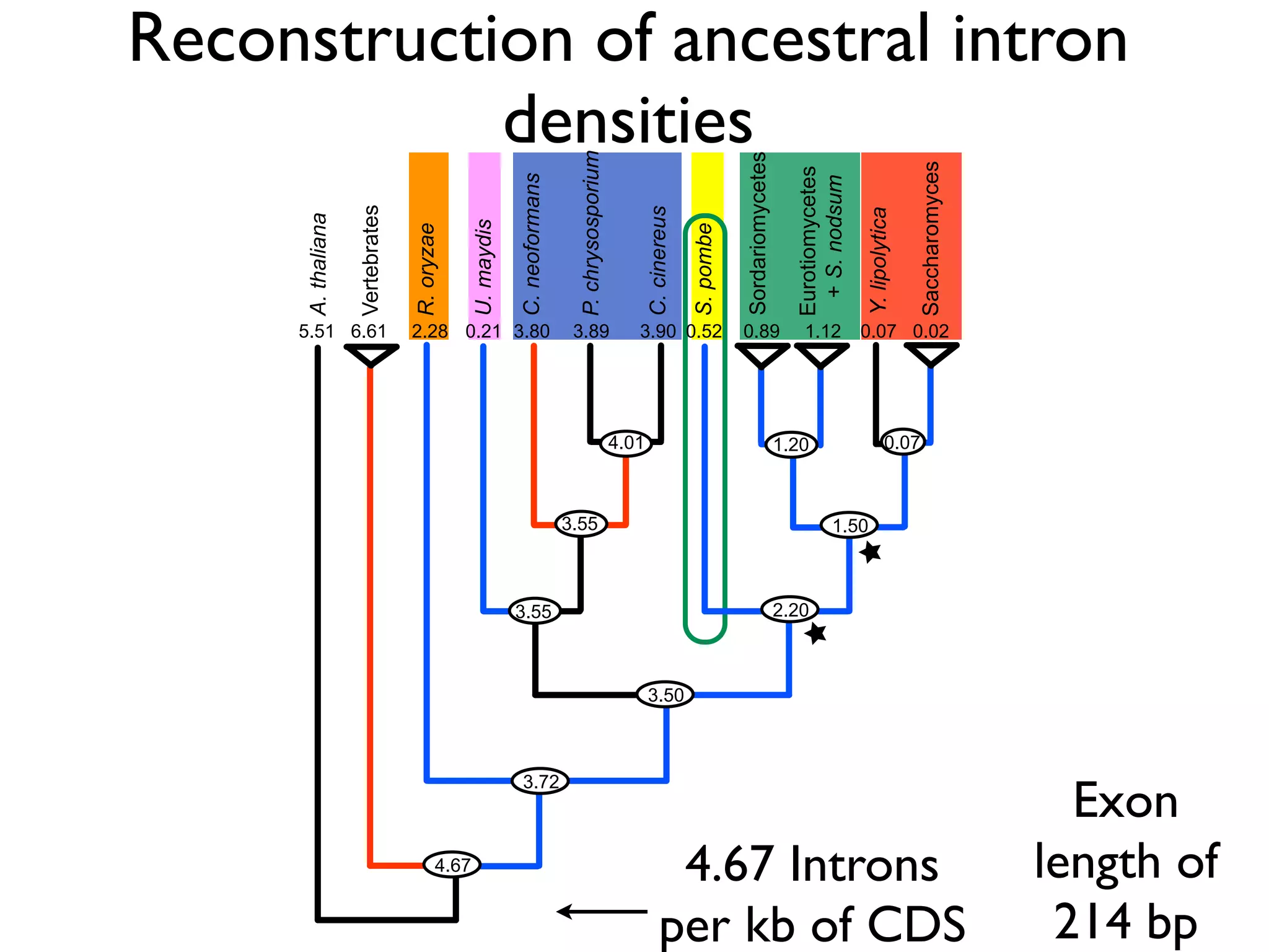 BioPerl: The evolution of a Bioinformatics Toolkit | PPT